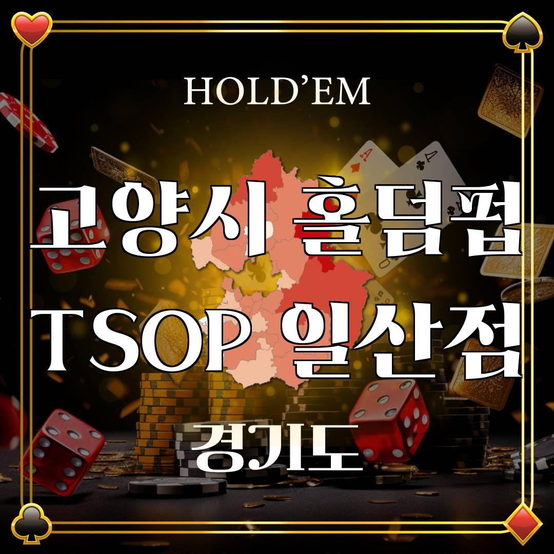 경기도 고양시 홀덤펍 TSOP 일산점 - 홀덤여기